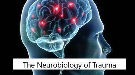 Registration Form: The Neurobiology of Trauma