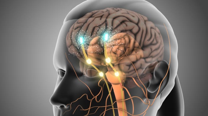 Advanced Nervous System Strategies to Support Regulation & Mind-Body ...