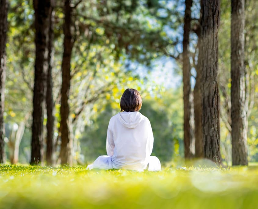 Introduction to Mindfulness in Therapeutic Practice